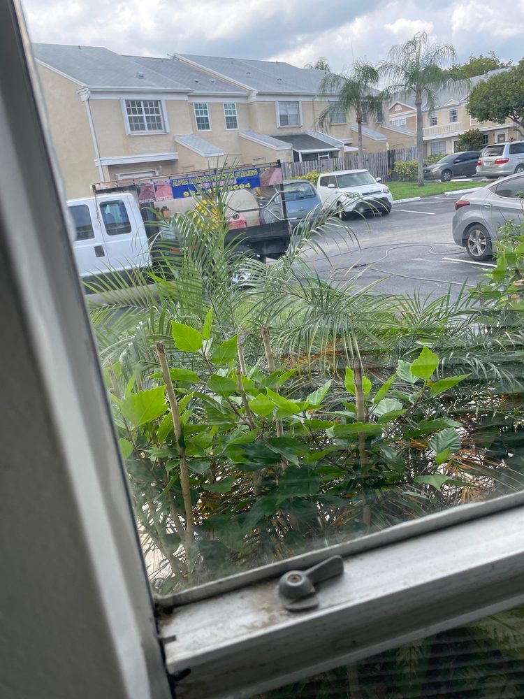 ALPHA & OMEGA PRESSURE CLEANING & SERVICES - Updated August 2025 - 89 ...