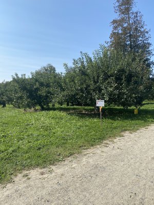 ROCKY RIDGE ORCHARD - Updated November 2025 - 50 Photos & 28 Reviews ...