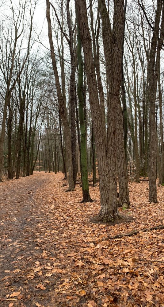 RED ROCKS PARK - Updated August 2025 - 30 Photos & 27 Reviews - Central ...