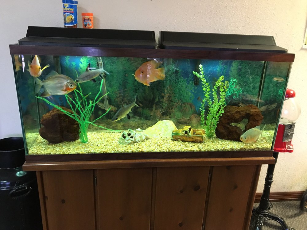 MEISNER PAINT & BODY - Updated December 2025 - 12 Reviews - 925 N ...