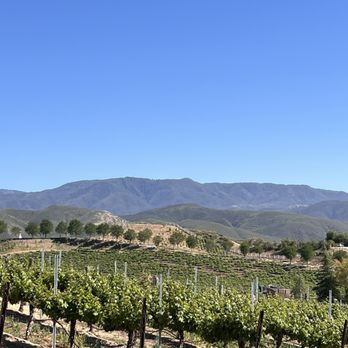 LEONESS CELLARS - Updated July 2024 - 2719 Photos & 2092 Reviews ...