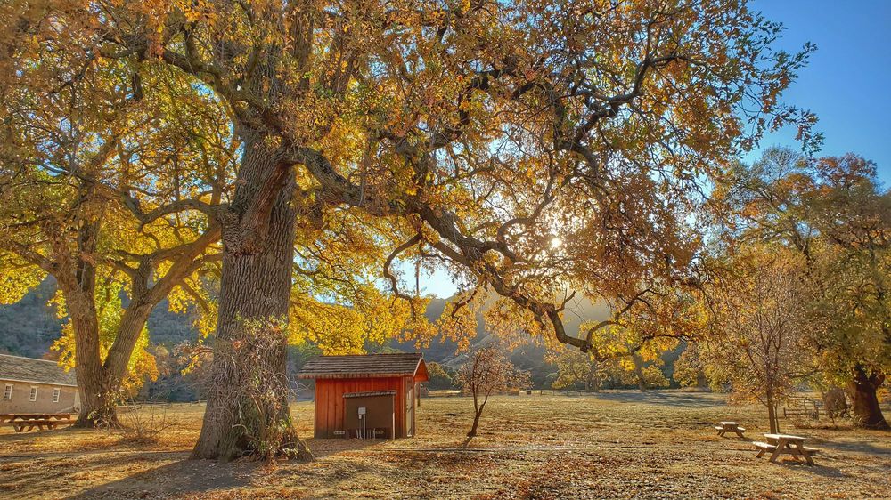 FORT TEJON STATE HISTORIC PARK - Updated September 2024 - 226 Photos ...