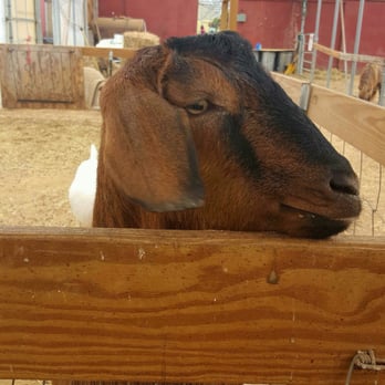 PEZZA FARM AND GARDEN CENTER - Updated January 2025 - 64 Photos & 16 ...