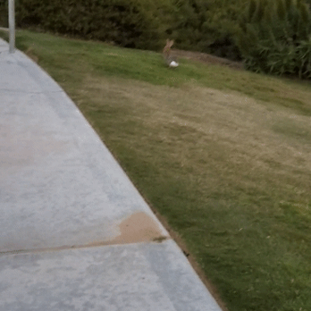 River Walk Park - Updated COVID-19 Hours & Services - 113 Photos & 50 ...