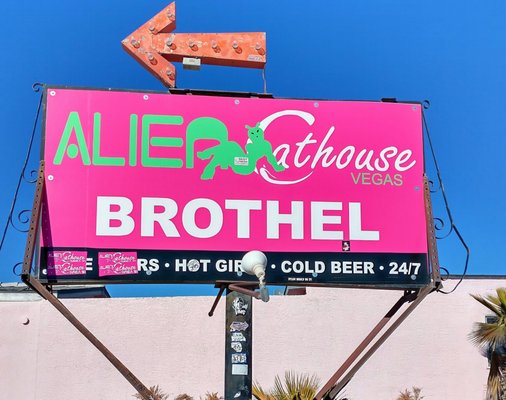 ALIEN CATHOUSE - Updated December 2025 - 17 Photos & 10 Reviews - 5390 ...