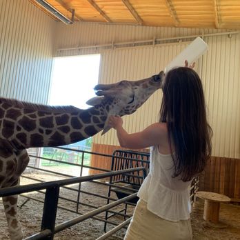 BLUE HILLS RANCH - Updated December 2025 - 260 Photos & 85 Reviews ...