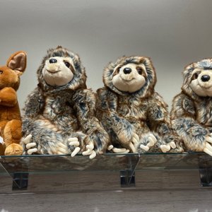 TOKYO KUMA - 14 Photos - 3875 Venture Dr, Duluth, Georgia - Shopping ...