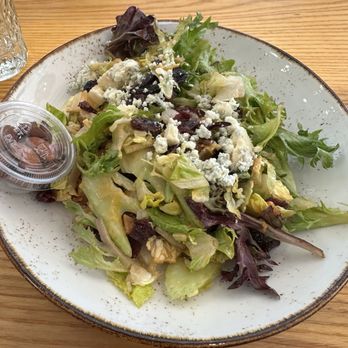 LIFE ALIVE ORGANIC CAFE - Updated December 2025 - 40 Photos & 20 ...