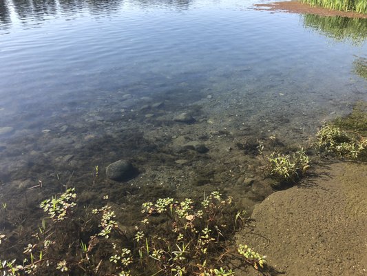 RIVER REFLECTIONS RV PARK & CAMPGROUND - Updated May 2024 - 74 Photos ...