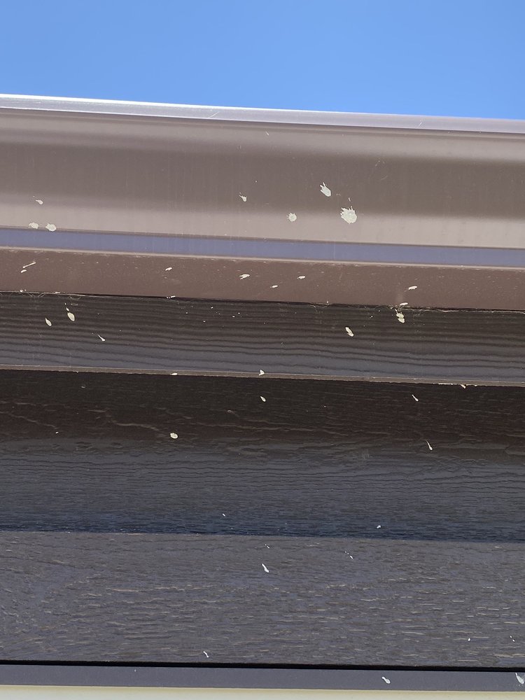 LG CONCRETE - Updated March 2025 - 26 Photos - Lewisville, Texas ...