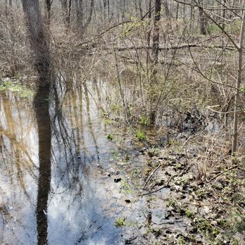 WAPPINGER CREEK GREENWAY TRAIL - Updated July 2025 - 26 Photos - 91 ...