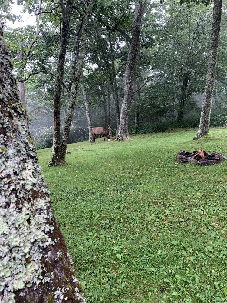 MILE HIGH CAMPGROUND - Campgrounds - 4387 Wrights Creek Rd, Cherokee ...