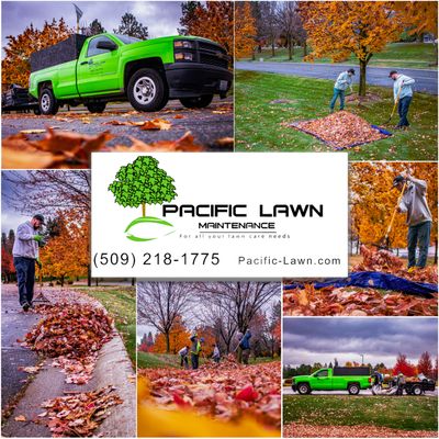 PACIFIC LAWN & PEST - Updated October 2025 - 85 Photos & 30 Reviews ...