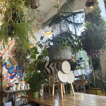 YUKO KITCHEN DTLA - Updated August 2024 - 1198 Photos & 568 Reviews ...