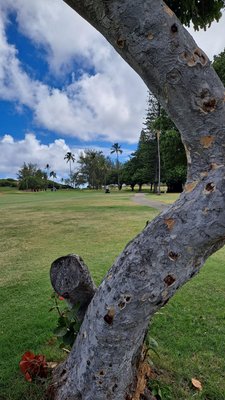 301 Moved Permanently