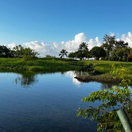 PONDS HILO - Updated October 2025 - 618 Photos & 590 Reviews - 135 ...