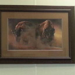 FLYIN BUFFALO - Updated July 2025 - 25 Photos & 64 Reviews - 802 Sloop ...