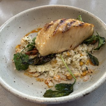 FRIDA SOUTHWEST - Updated October 2025 - 1310 Photos & 666 Reviews ...