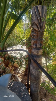 TREELAND NURSERIES - Updated December 2025 - 65 Photos & 80 Reviews ...