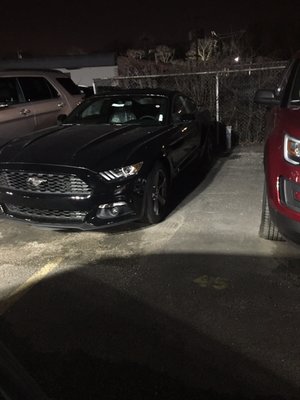 WESTFIELD FORD - Updated January 2026 - 29 Photos & 199 Reviews - 6200 ...