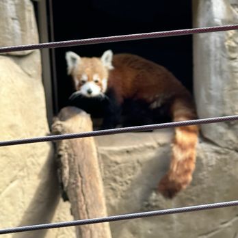 CHARLES PADDOCK ZOO - Updated August 2025 - 322 Photos & 160 Reviews ...