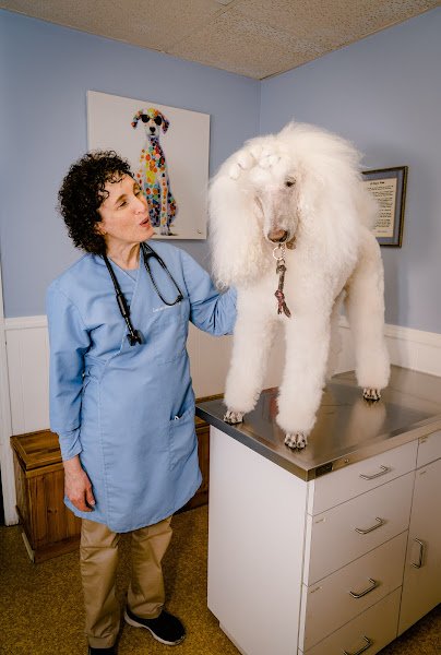 SPRING VALLEY VETERINARY CLINIC - Updated October 2025 - 13 Photos & 35 ...