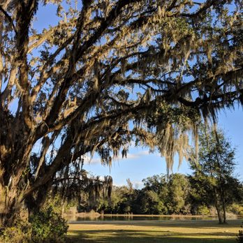 PEDRICK POND PARK - Updated December 2025 - 59 Photos - 1583 Pedrick Rd ...