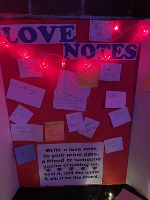 CAT CLUB - Updated December 2025 - 1761 Photos & 501 Reviews - 1190 ...