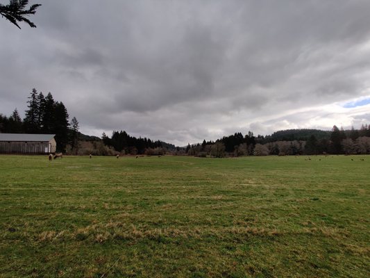 JEWELL MEADOWS WILDLIFE AREA - 79878 OR-202, Seaside, OR - Yelp