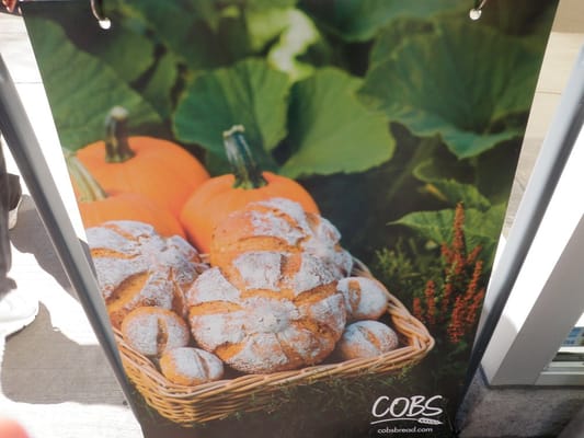 COBS BREAD - Updated November 2024 - 37 Photos & 73 Reviews - 370 Bloor ...