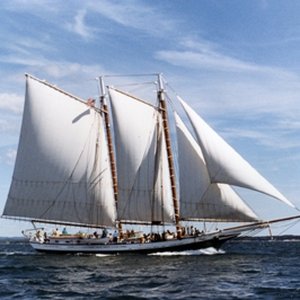 SCHOONER LEWIS R FRENCH - Updated April 2025 - 59 Photos & 23 Reviews ...