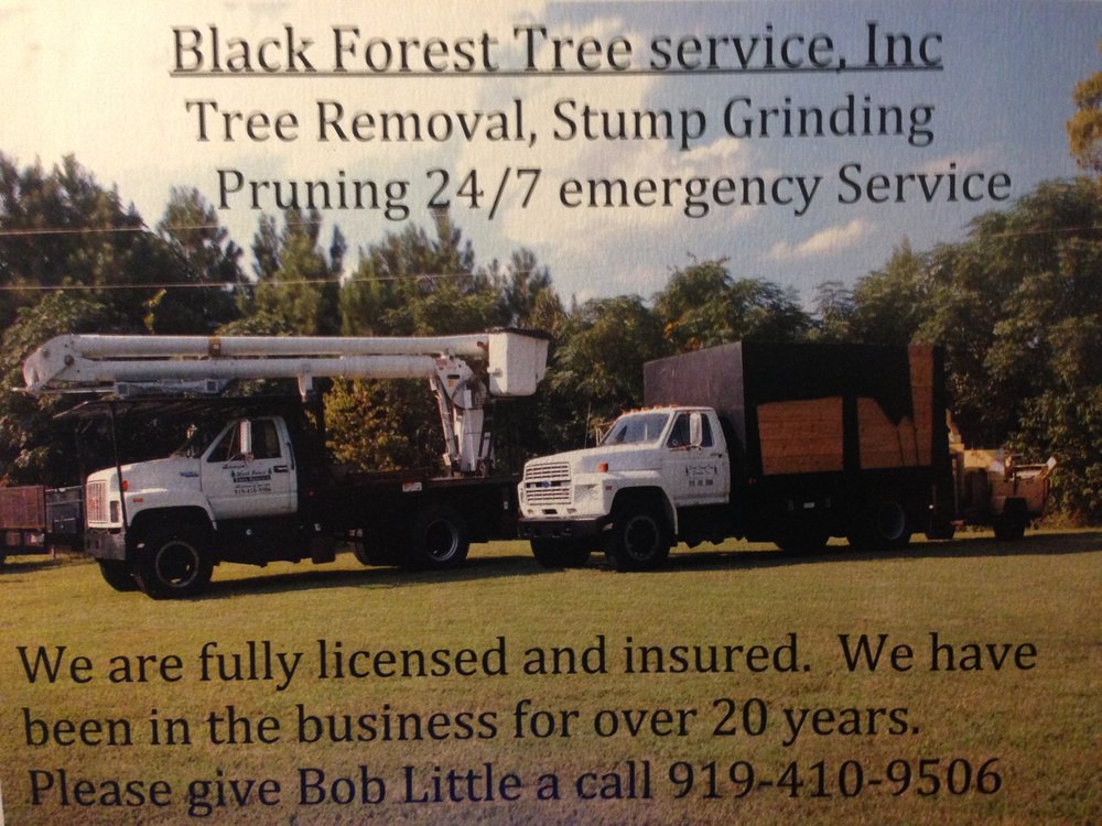 BLACK FOREST TREE SERVICE - Updated October 2025 - Wake Forest, North ...
