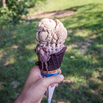 THE MOSQUITO - Updated January 2026 - 25 Photos & 72 Reviews - 1333 ...