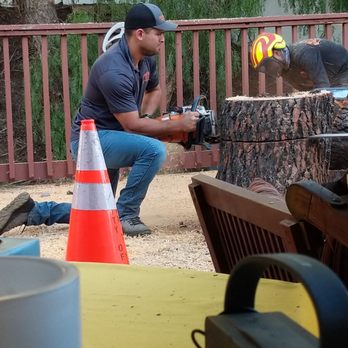 MASTER TREE SERVICES - 188 Photos & 180 Reviews - Escondido, California ...
