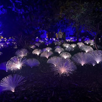 LIGHTSCAPE SAN DIEGO - Updated November 2024 - 189 Photos & 38 Reviews ...