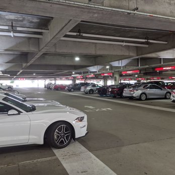 AVIS - Updated July 2024 - 30 Photos & 82 Reviews - 17330 Palmetto ...