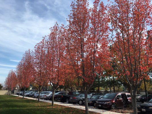 SHIVA-VISHNU TEMPLE LIVERMORE - Updated October 2025 - 75 Photos & 57 ...