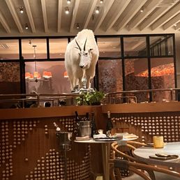 AVIZE MODERN ALPINE - Updated January 2026 - 237 Photos & 61 Reviews ...