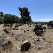 MT. BURDELL OPEN SPACE PRESERVE - 163 Photos & 41 Reviews - Hiking ...