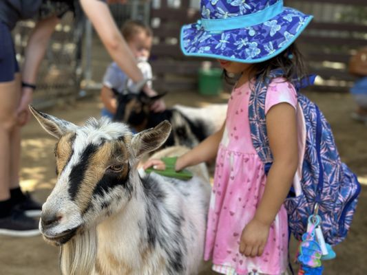OC ZOO IRVINE REGIONAL PARK - Updated January 2026 - 134 Photos & 46 ...
