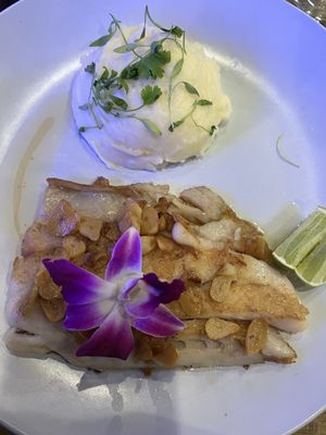 EL PATIO DE ROBERTICO KENDALL - Updated June 2025 - 33 Photos & 14 ...