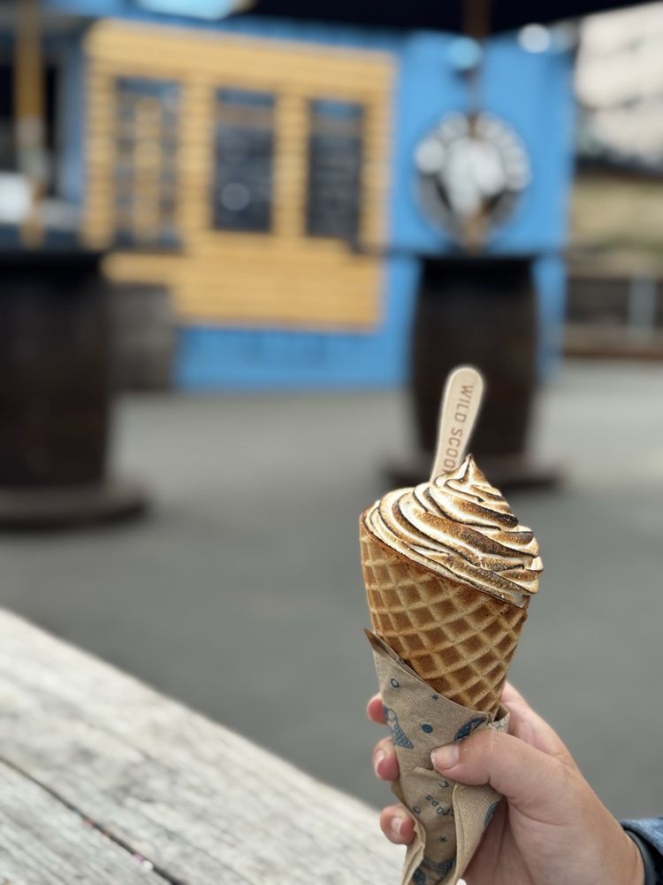 WILD SCOOPS - Updated May 2026 - 40 Photos & 24 Reviews - 717 W 3rd Ave ...