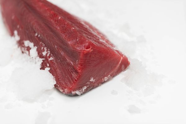 LAMB & CO - Updated December 2025 - 53 Photos & 14 Reviews - 1295 ...