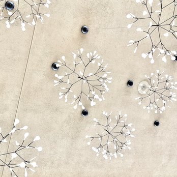 SERRAMONTE CENTER - Updated June 2025 - 418 Photos & 285 Reviews - 3 ...