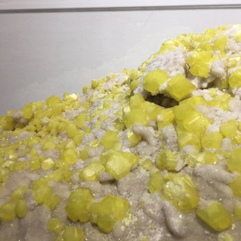 GARVIES POINT MUSEUM & PRESERVE - Updated December 2025 - 87 Photos ...