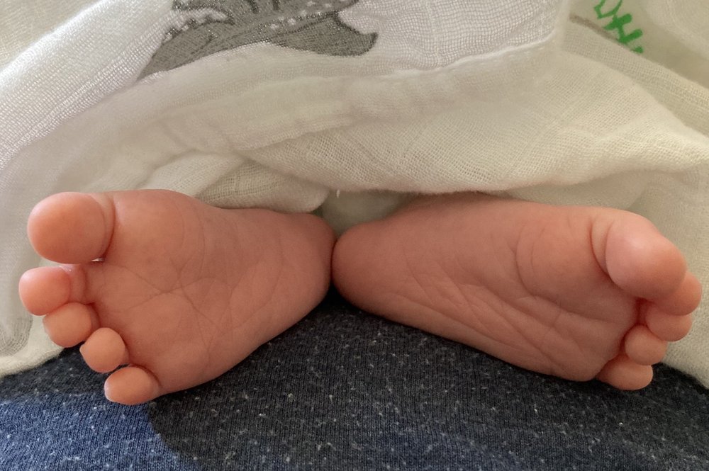 CHUN BENTON H, MD - Updated May 2024 - 25 Reviews - 1329 Lusitana St ...