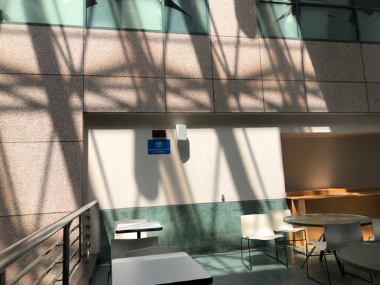 CALIFORNIA SECRETARY OF STATE - Updated December 2025 - 33 Photos & 81 ...