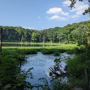 DIXIE STERNWHEELER - Updated December 2025 - 403 S Dixie Dr, North ...