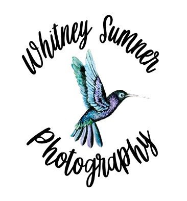 WHITNEY SUMNER PHOTOGRAPHY - Updated January 2026 - Chester, Maryland - Session Photography - Yelp