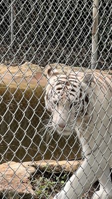 ZOOLOGICAL WILDLIFE FOUNDATION - Updated September 2025 - 927 Photos ...